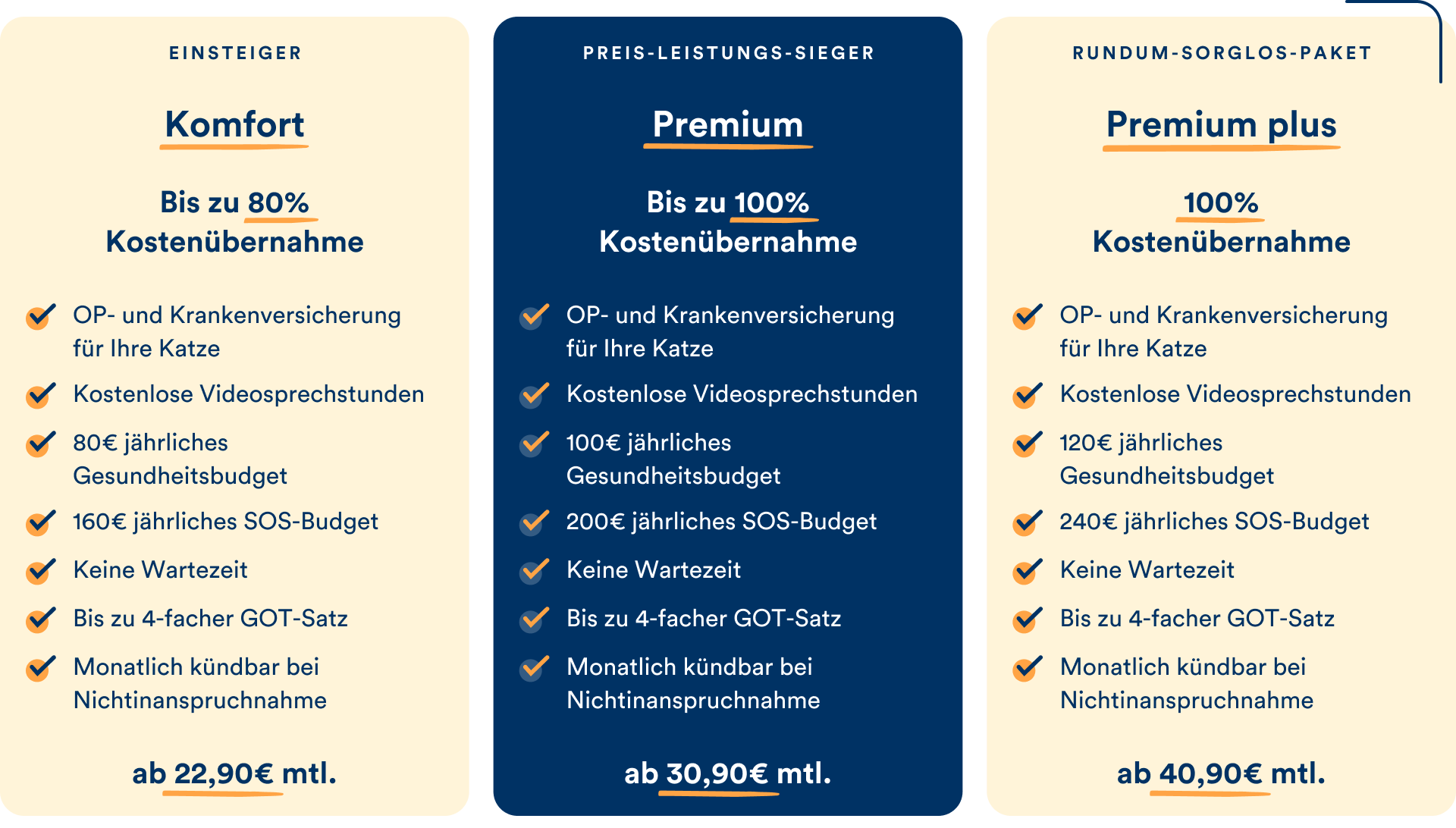 Katzenkrankenversicherung ohne Wartezeit | petolo