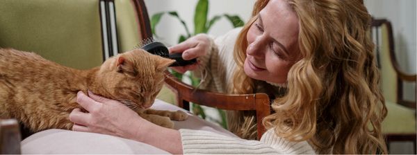 Katze hat Durchfall: Ursachen & Behandlungstipps
